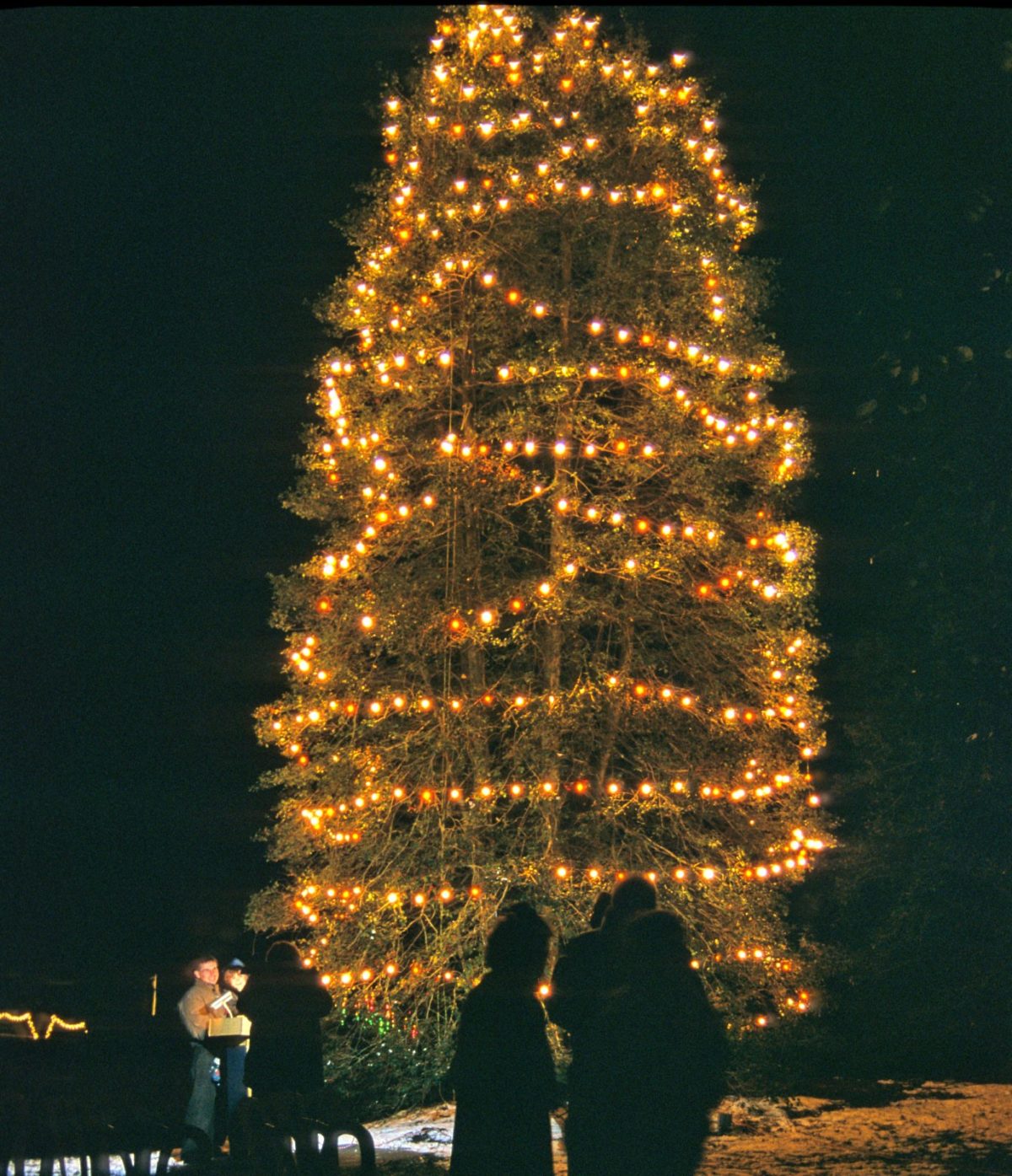 Tree of Lights 2022 - Montgomery Hospice and Prince George’s Hospice